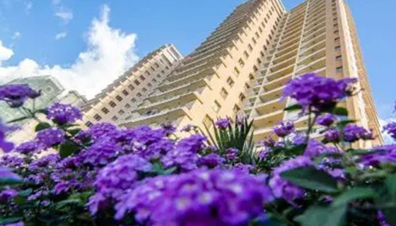 Vijana Towers – Endow Management